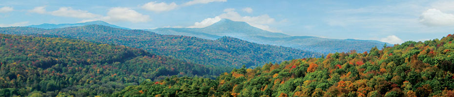 Sentinel Investments | National Life